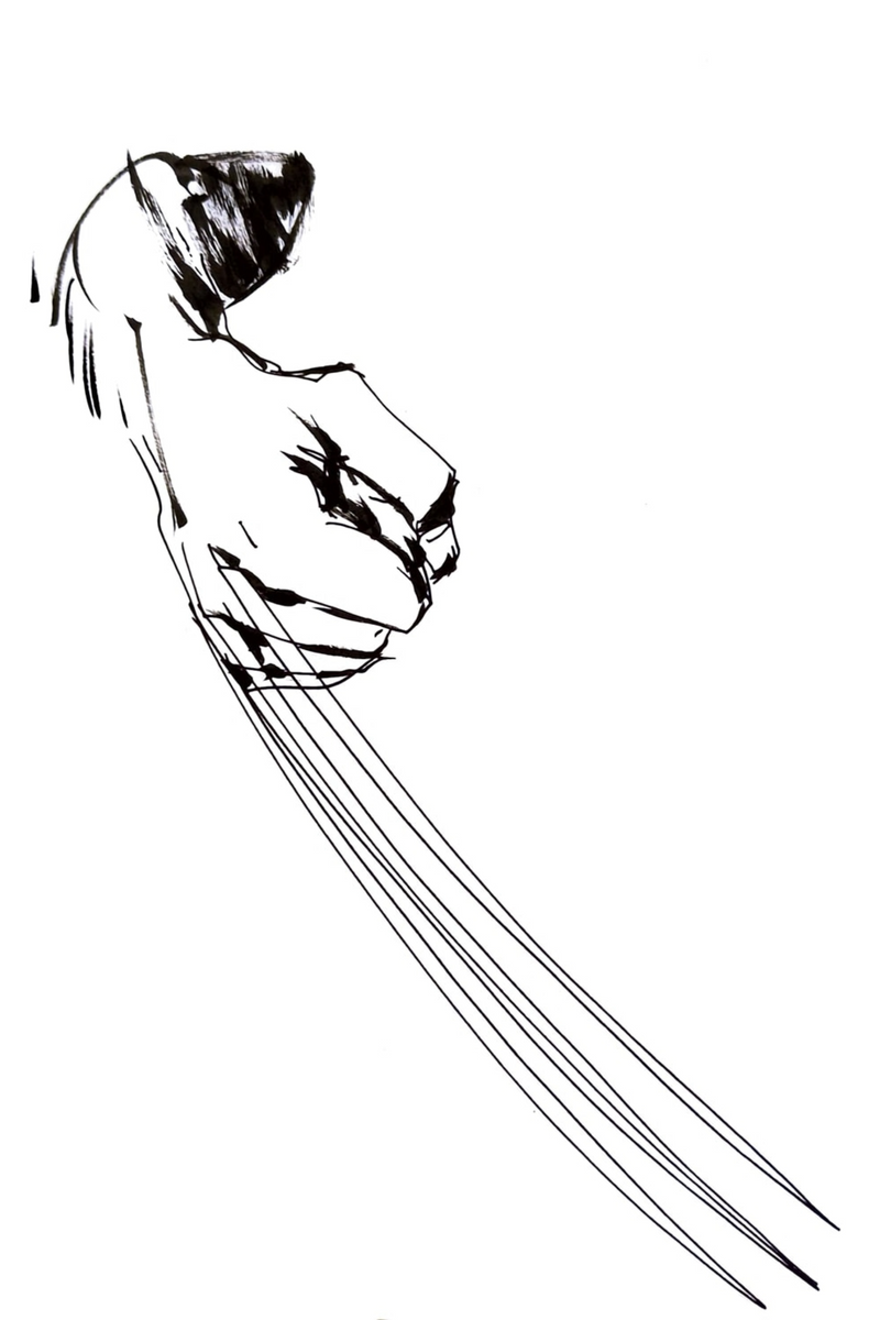 WOLVERINE MAX: Working Sketch (Claws) – Art of Jock